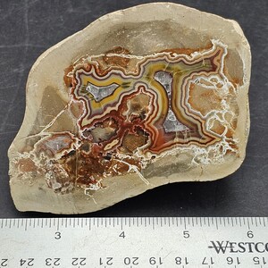 Teepee Canyon Agate Collector Specimen 1 Pound 1.1 Ounces - Etsy