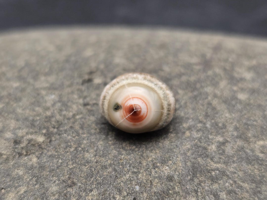 Rare Minnesota Thomsonite Nugget Lake Superior Gemstone Collector Rock ...