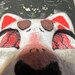 Tanjiro Cat (fox) Mask - Etsy