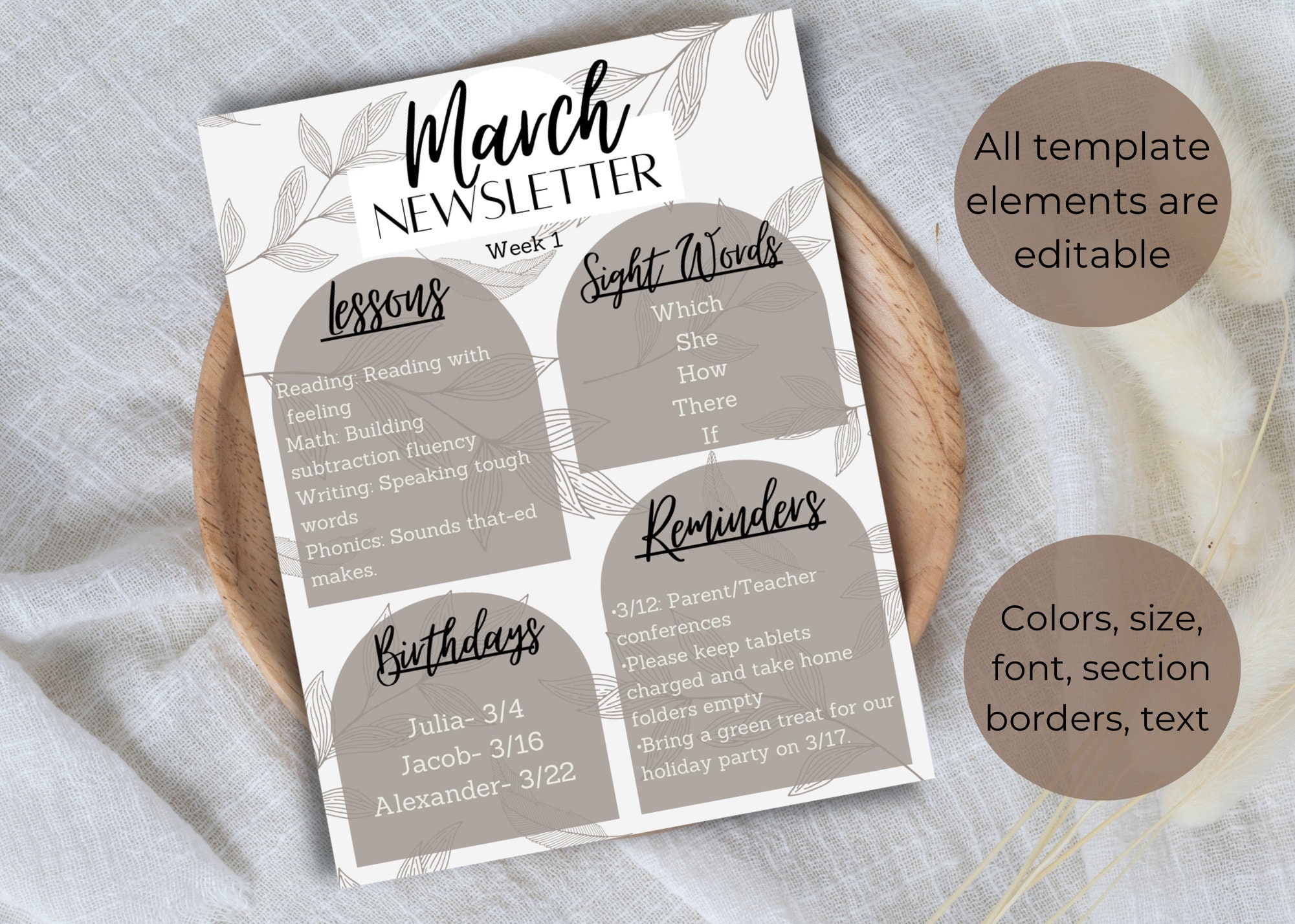 Aesthetic Simple Classroom Newsletter INSTANT TEMPLATE LINK Monthly ...