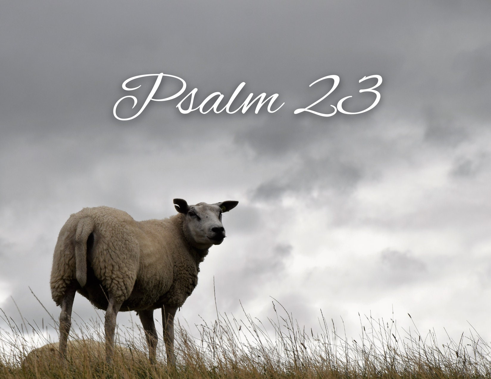 Psalm 23 Bible Memory Verse Cards - Etsy