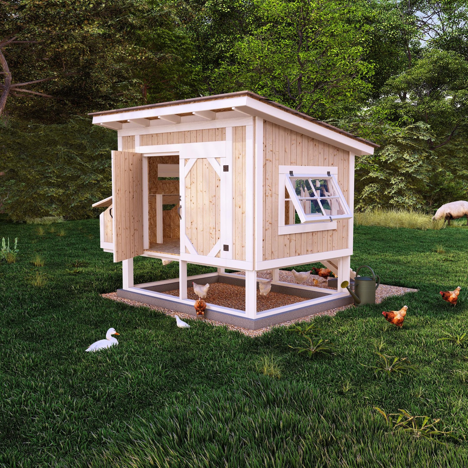 Spacious Chicken Coop Plans for 20 Chickens, 6x8 DIY Hen House With ...