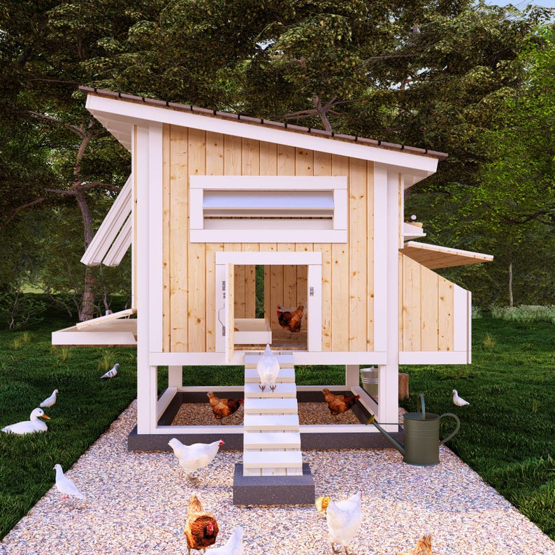 Chicken Coop Plans for 16 Chickens 6x6 Ft, DIY Hen House Blueprint, PDF ...