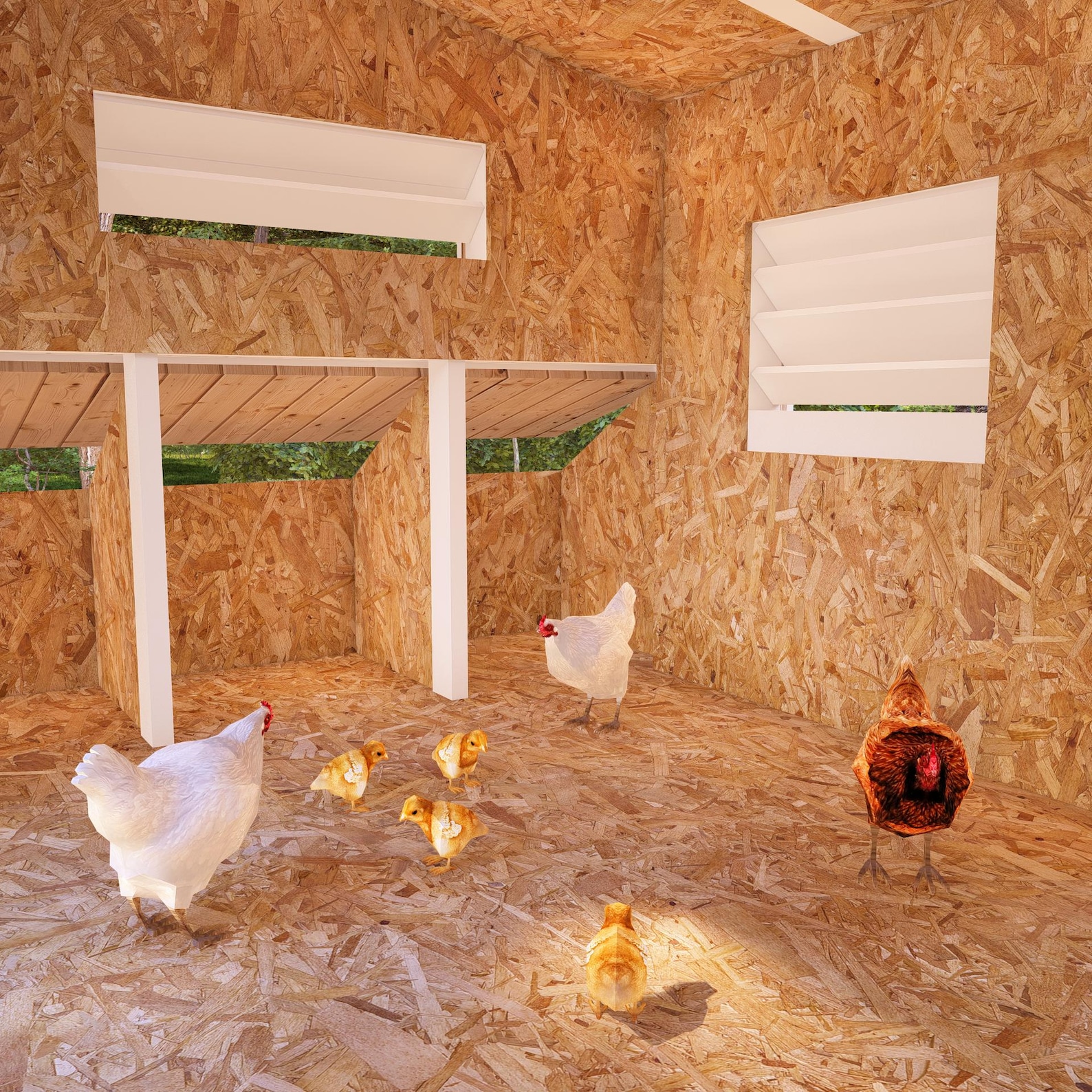 Spacious Chicken Coop Plans for 20 Chickens, 6x8 DIY Hen House With ...