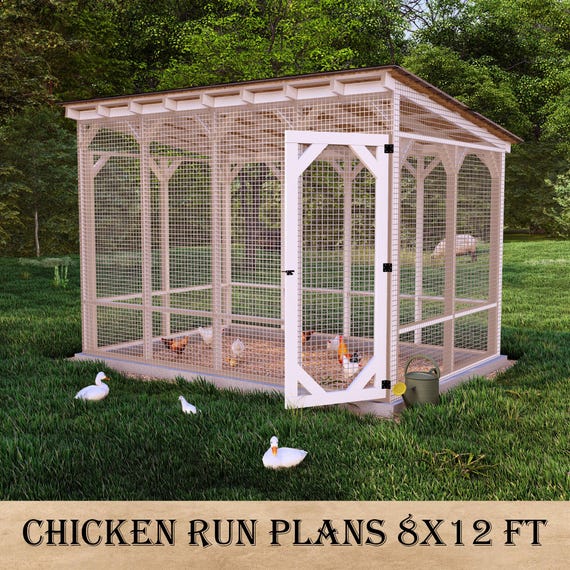 Predator Proof Chicken Run
