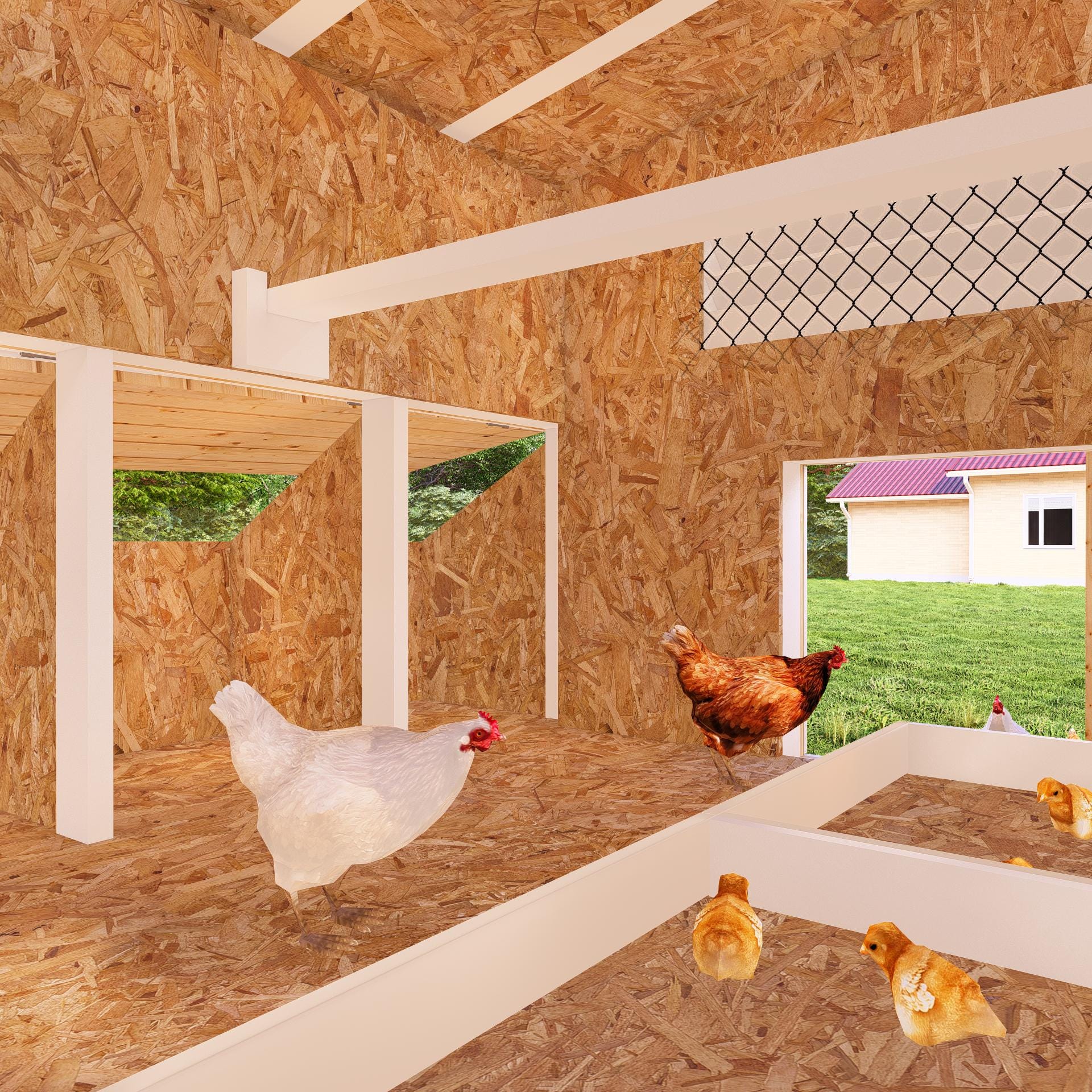Chicken Coop Plans for 16 Chickens 6x6 Ft, DIY Hen House Blueprint, PDF ...
