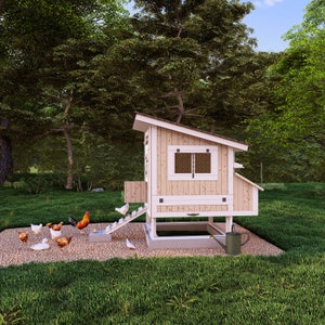 DIY 5x5 Chicken Coop Plans for 12 Chickens, Small Farm PDF Blueprint ...
