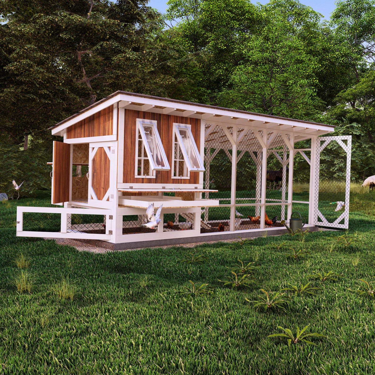 DIY Chicken Coop Plans for 16 Chickens, Build Your Own Chicken Coop ...