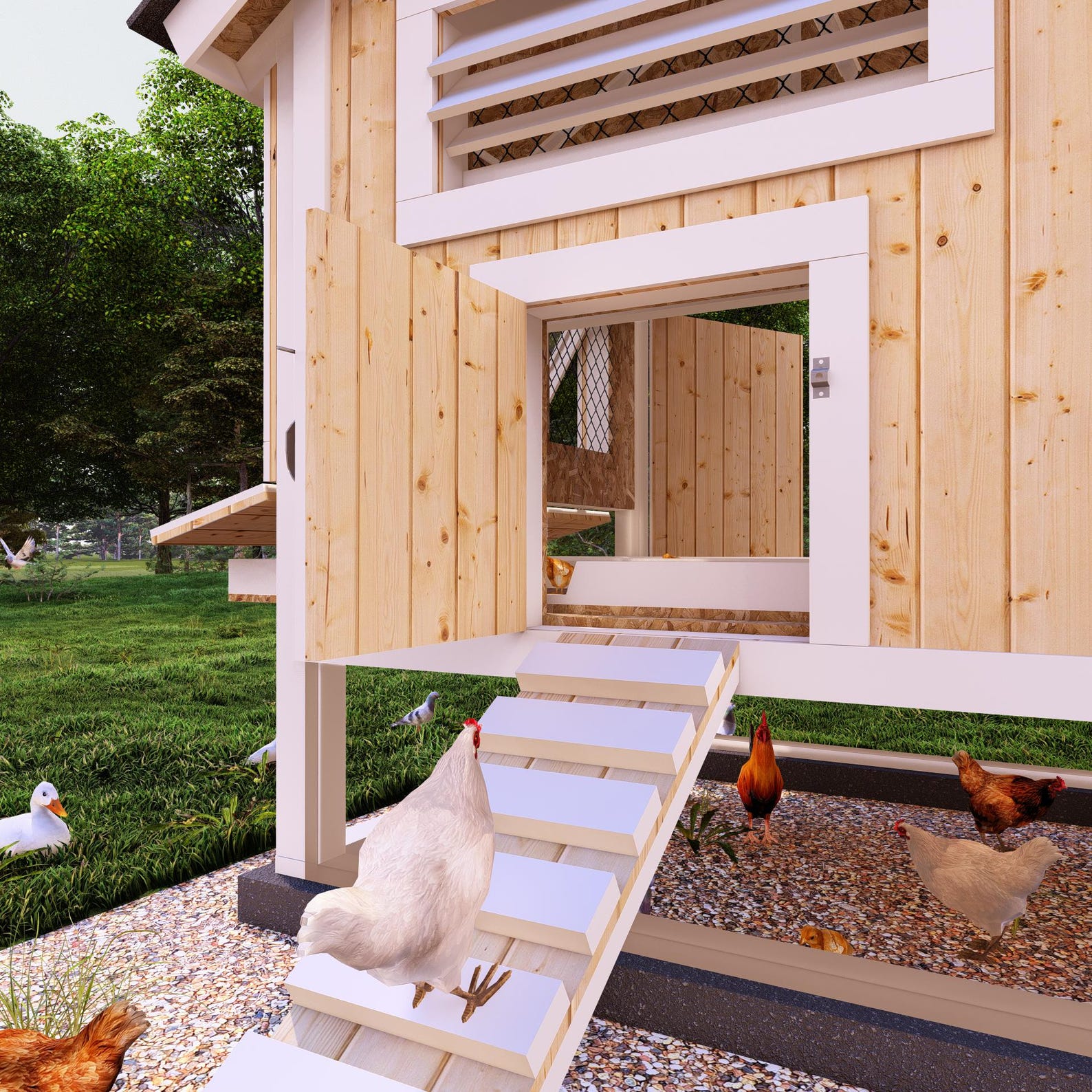 DIY 6x6 Chicken Coop Plans for 12-15 Hens, Backyard Hen House With ...
