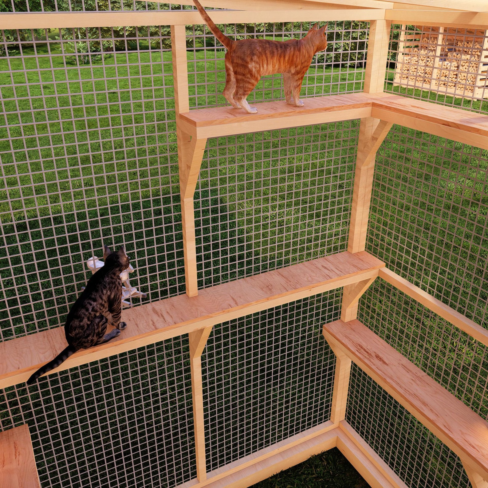 DIY Catio Plans, 6x6 Outdoor Cat Enclosure With Window Access (PDF) - Etsy