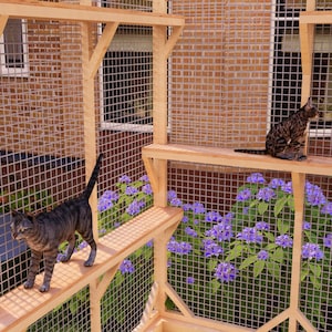 DIY Large Freestanding Catio Plans, 6x10 Ft Outdoor Cat Enclosure ...