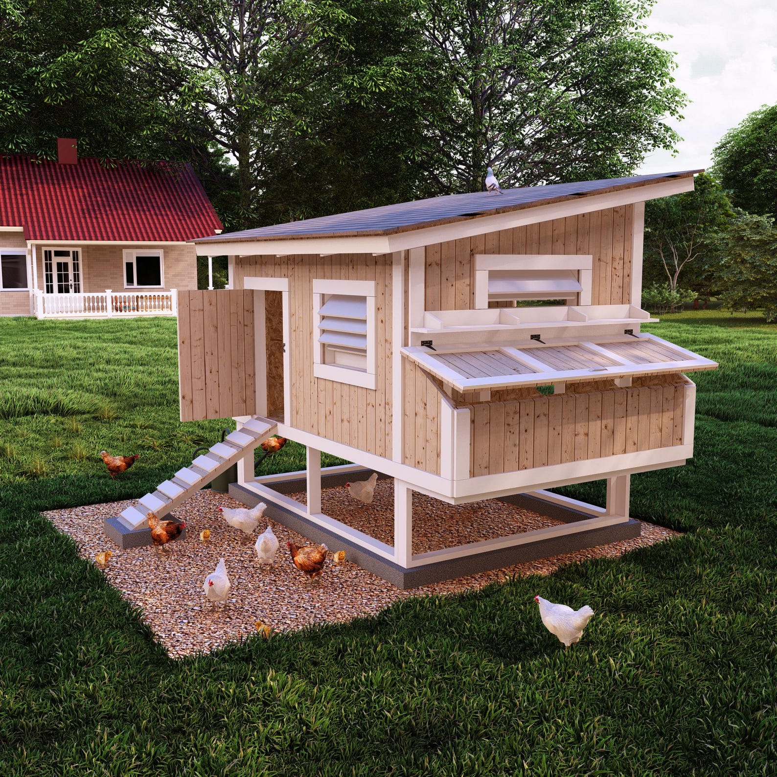 Spacious Chicken Coop Plans for 20 Chickens, 6x8 DIY Hen House With ...