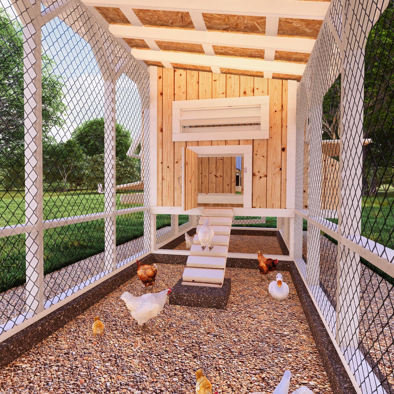 Chicken Coop Plans for 20 Chickens, DIY Blueprint PDF, Small Backyard ...