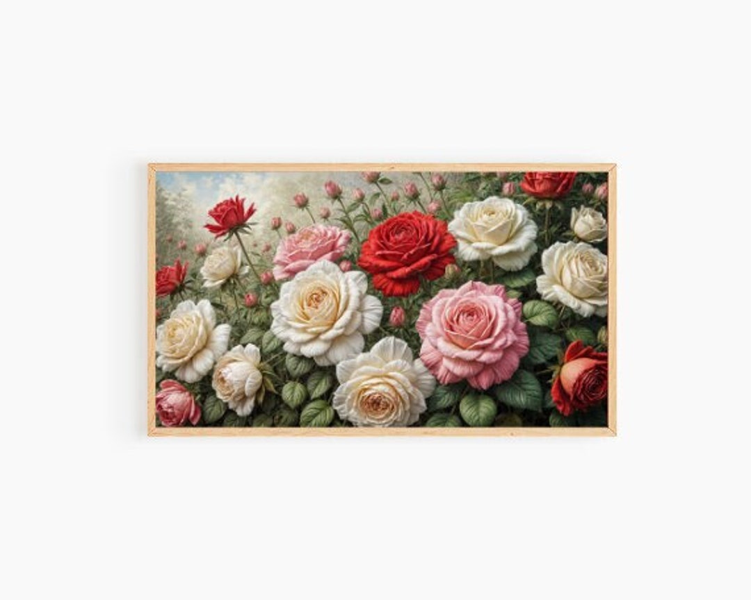 Roses, Garden, Red, Pink, White, Flowers, Samsung Frame TV Art, Digital ...