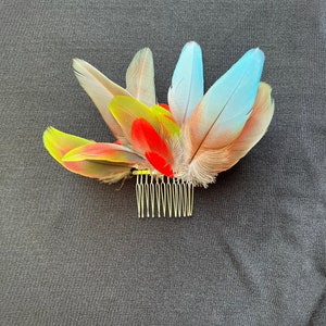 Macaw Feather Hair Combs - Etsy