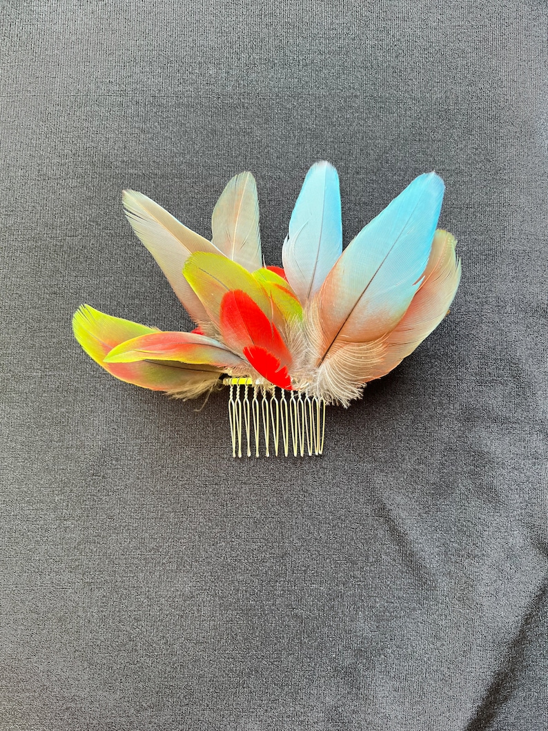 Macaw Feather Hair Combs - Etsy
