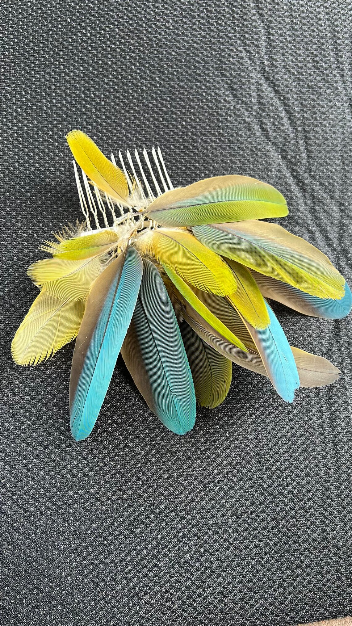 Macaw Feather Hair Combs - Etsy