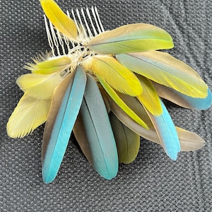 Macaw Feather Hair Combs - Etsy