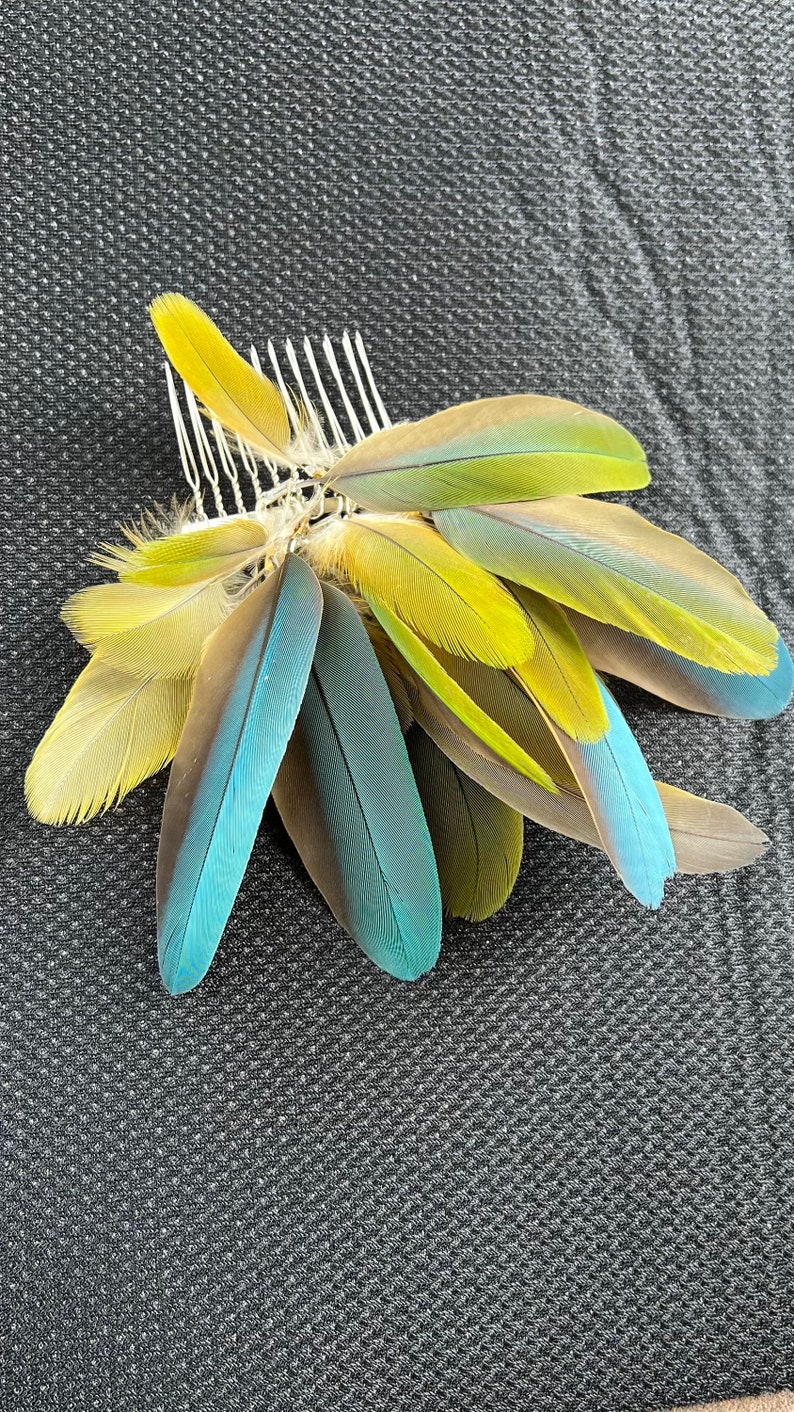 Macaw Feather Hair Combs - Etsy