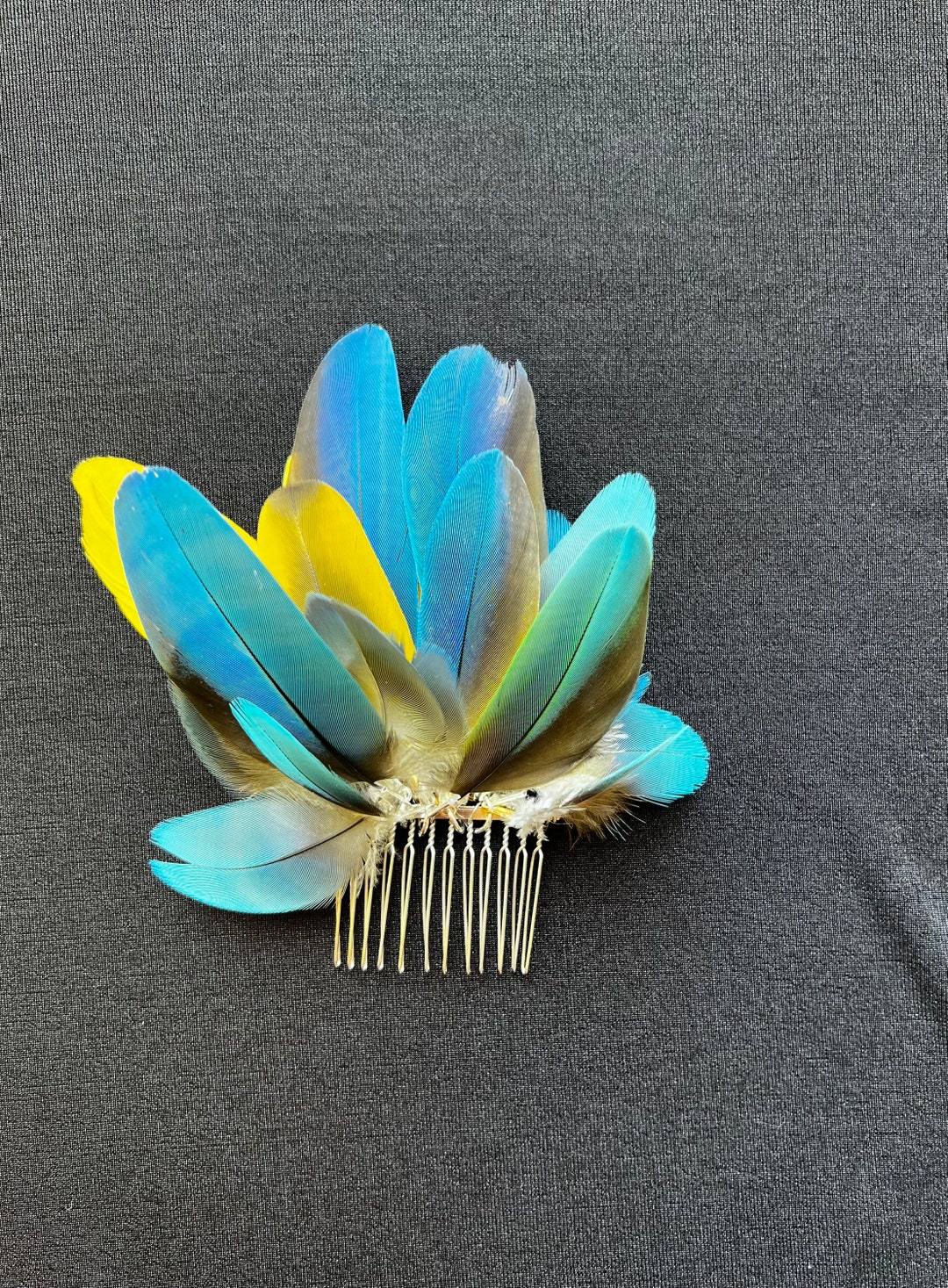 Macaw Feather Hair Combs - Etsy