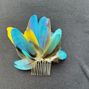 Macaw Feather Hair Combs - Etsy