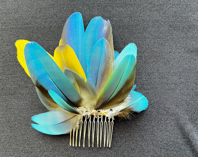 Macaw Feather Hair Combs - Etsy