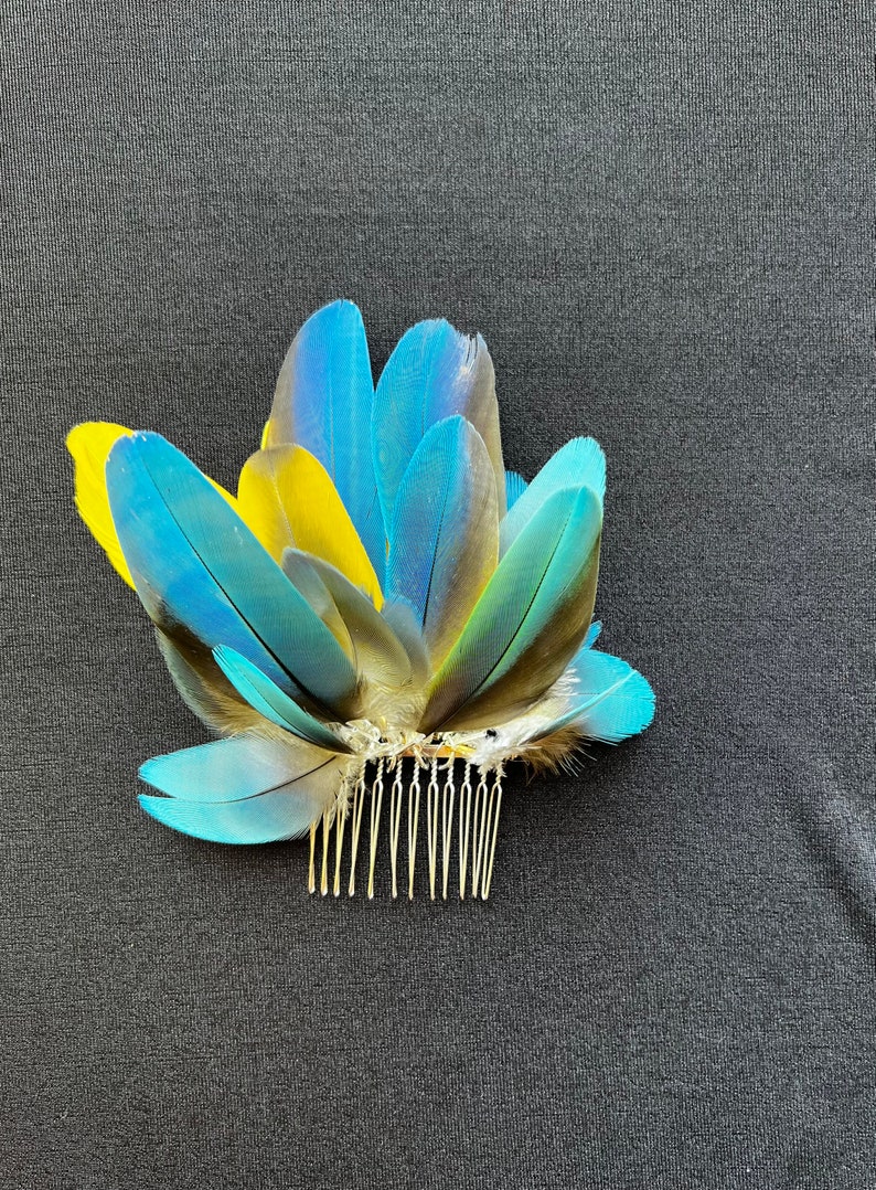 Macaw Feather Hair Combs - Etsy