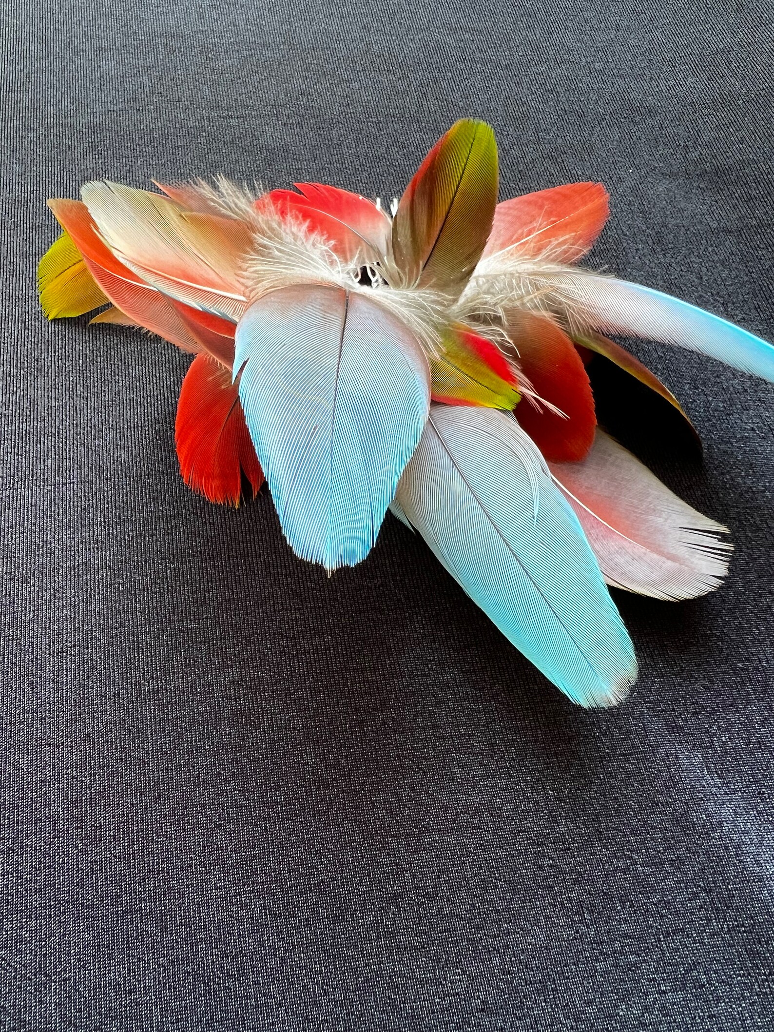Macaw Feather Hair Combs - Etsy