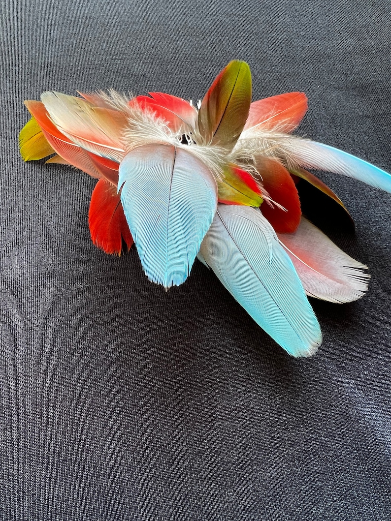 Macaw Feather Hair Combs - Etsy