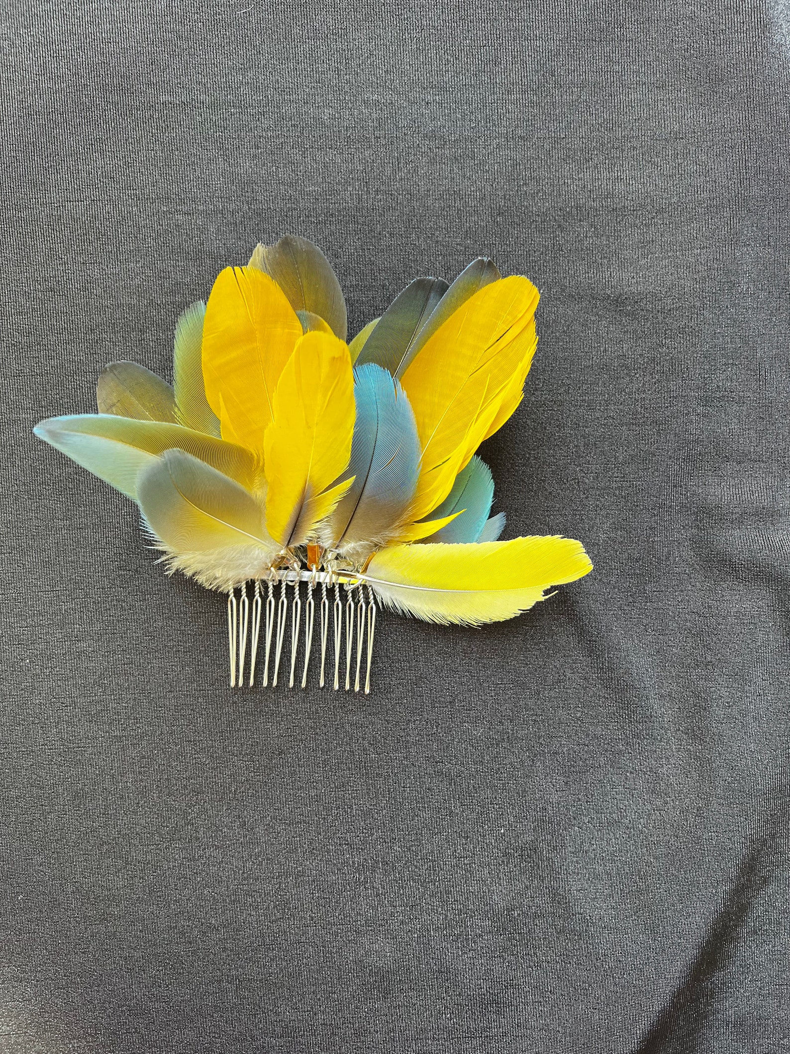 Macaw Feather Hair Combs - Etsy