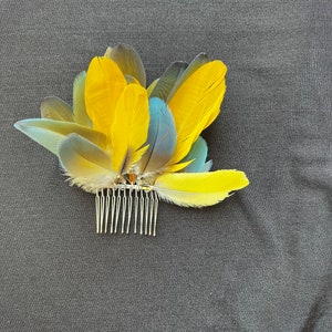 Macaw Feather Hair Combs - Etsy