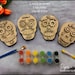 DIY Sugar Skull Kit/dia De Los Muertos Kit - Etsy