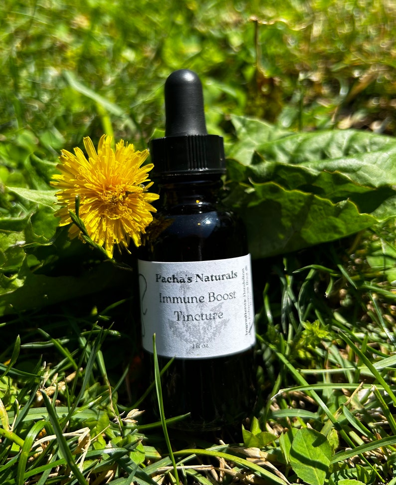 Immune Boost Tincture - Etsy