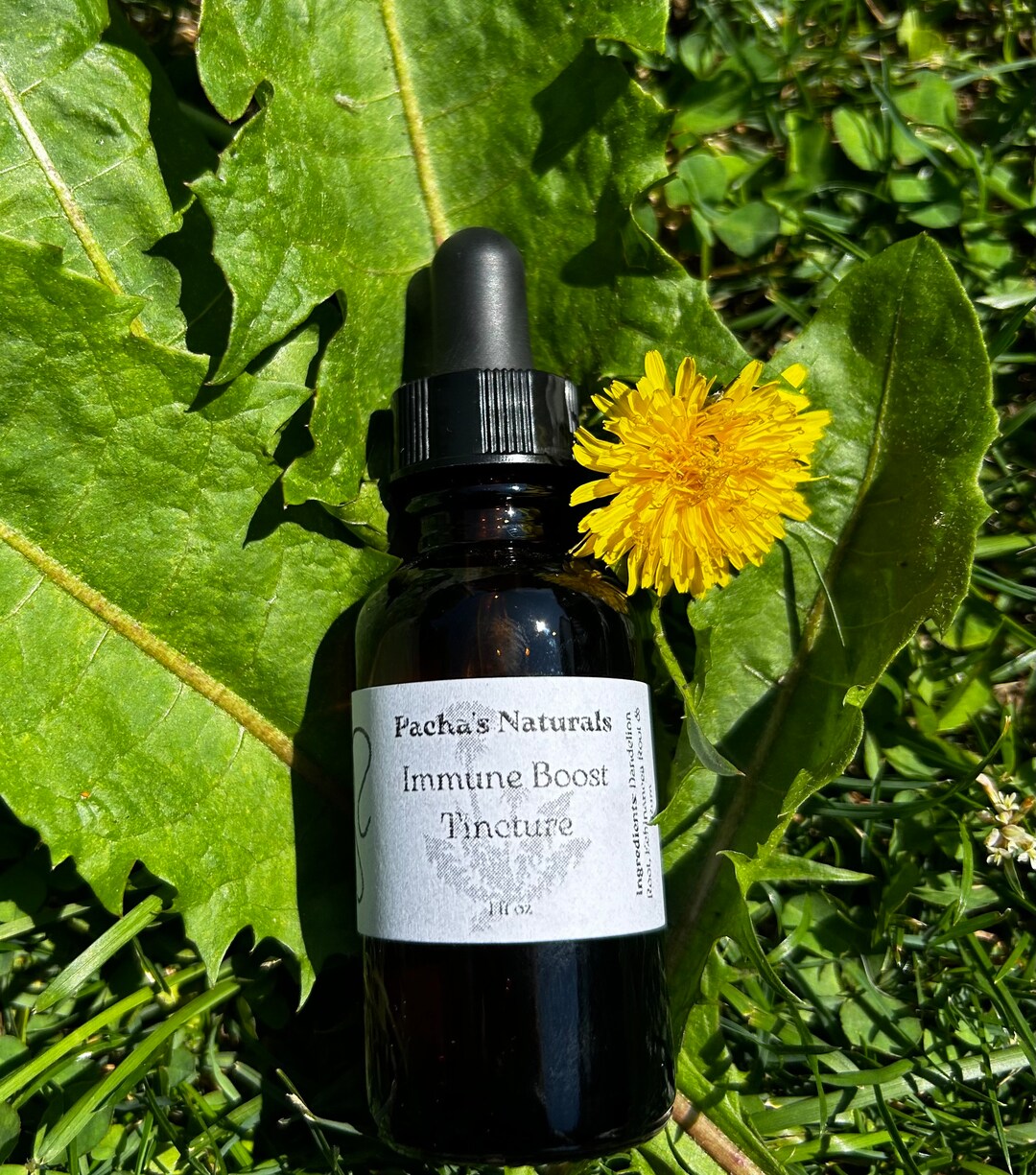 Immune Boost Tincture - Etsy