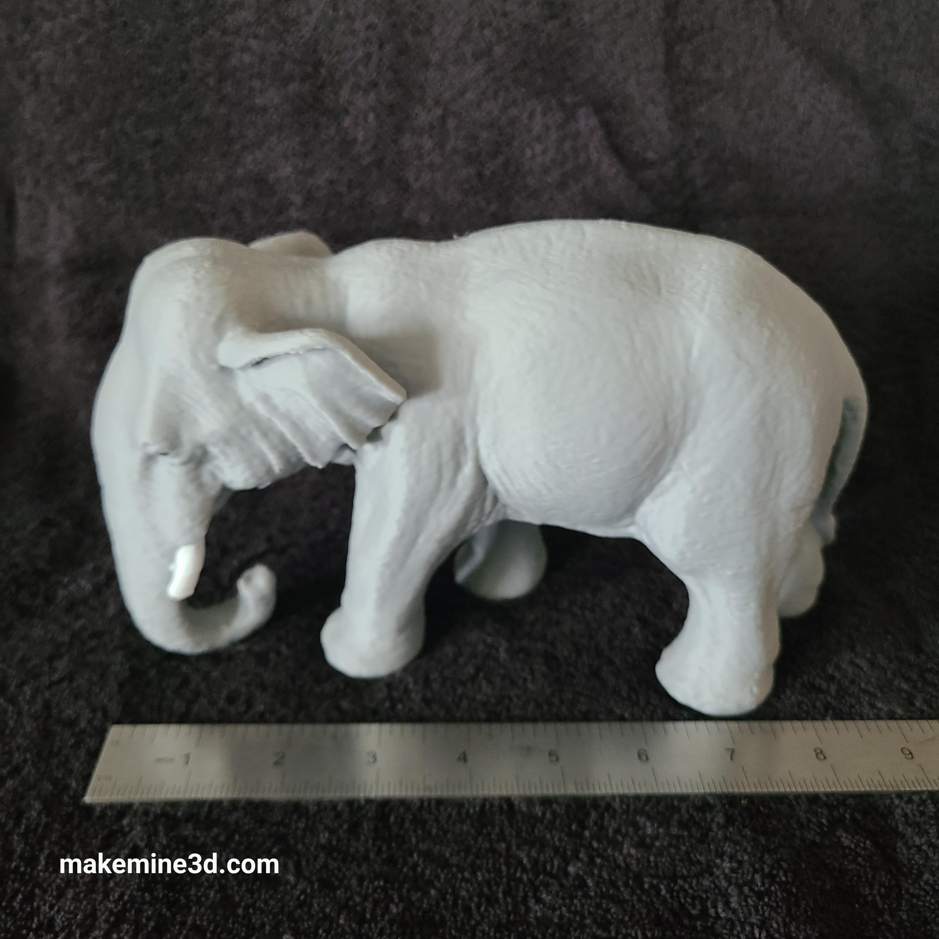 African Elephant 3D Printed Model - Etsy