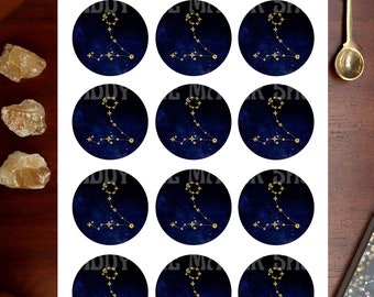 Glitter Zodiac Sign Pisces Symbol Cake Topper Birthday Party - Etsy