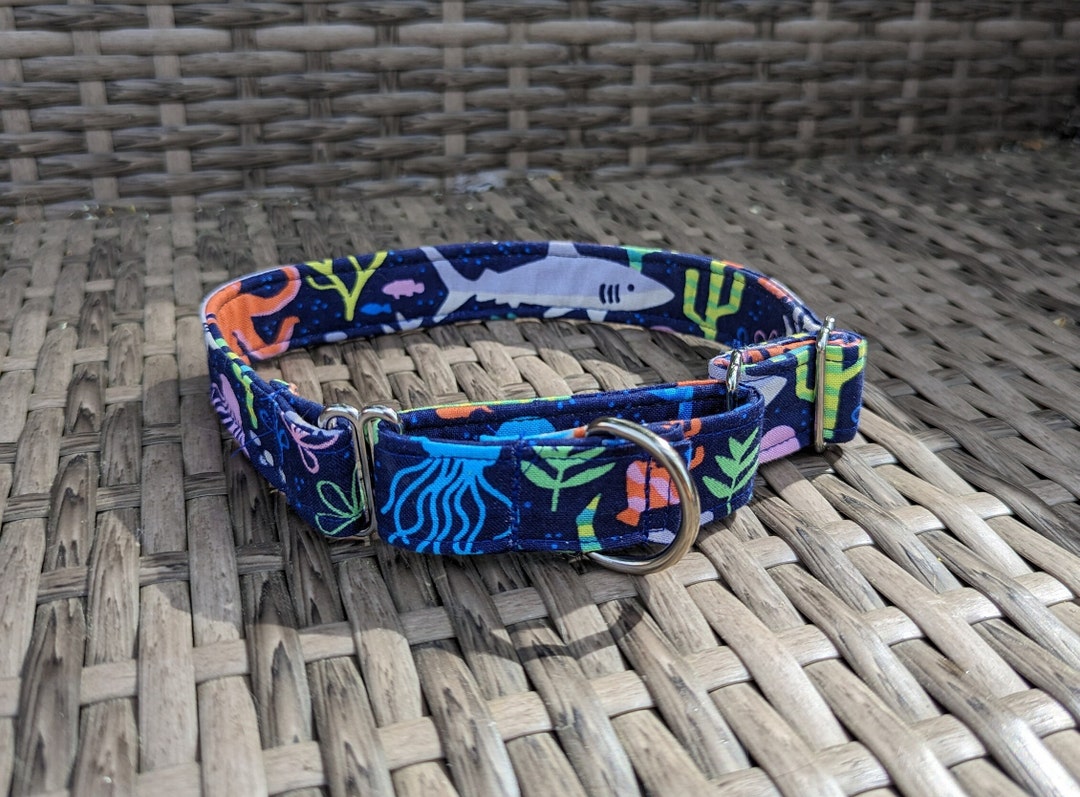 Under the Sea Dog Collar- Custom Collar - Etsy