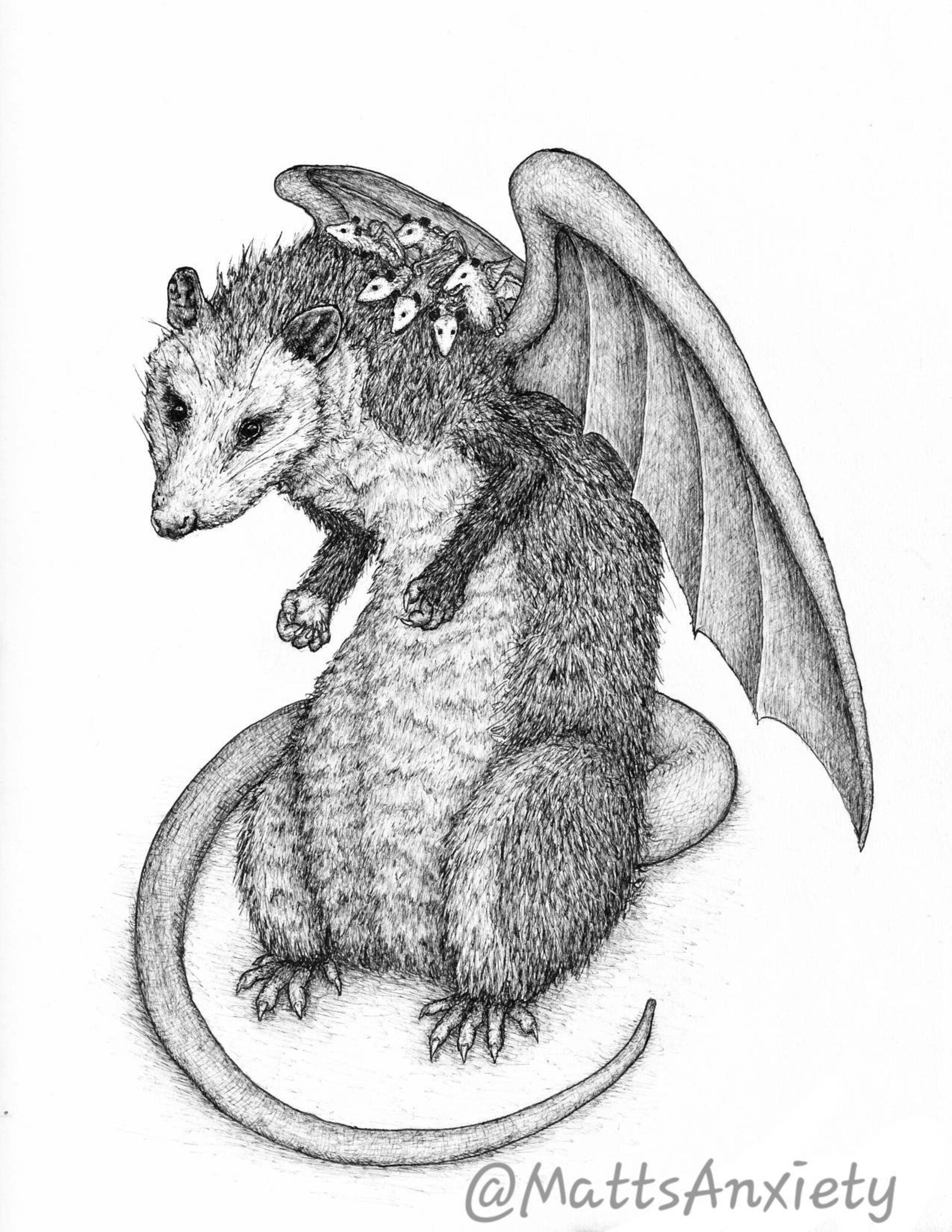 Opossum Dragon Print - Etsy