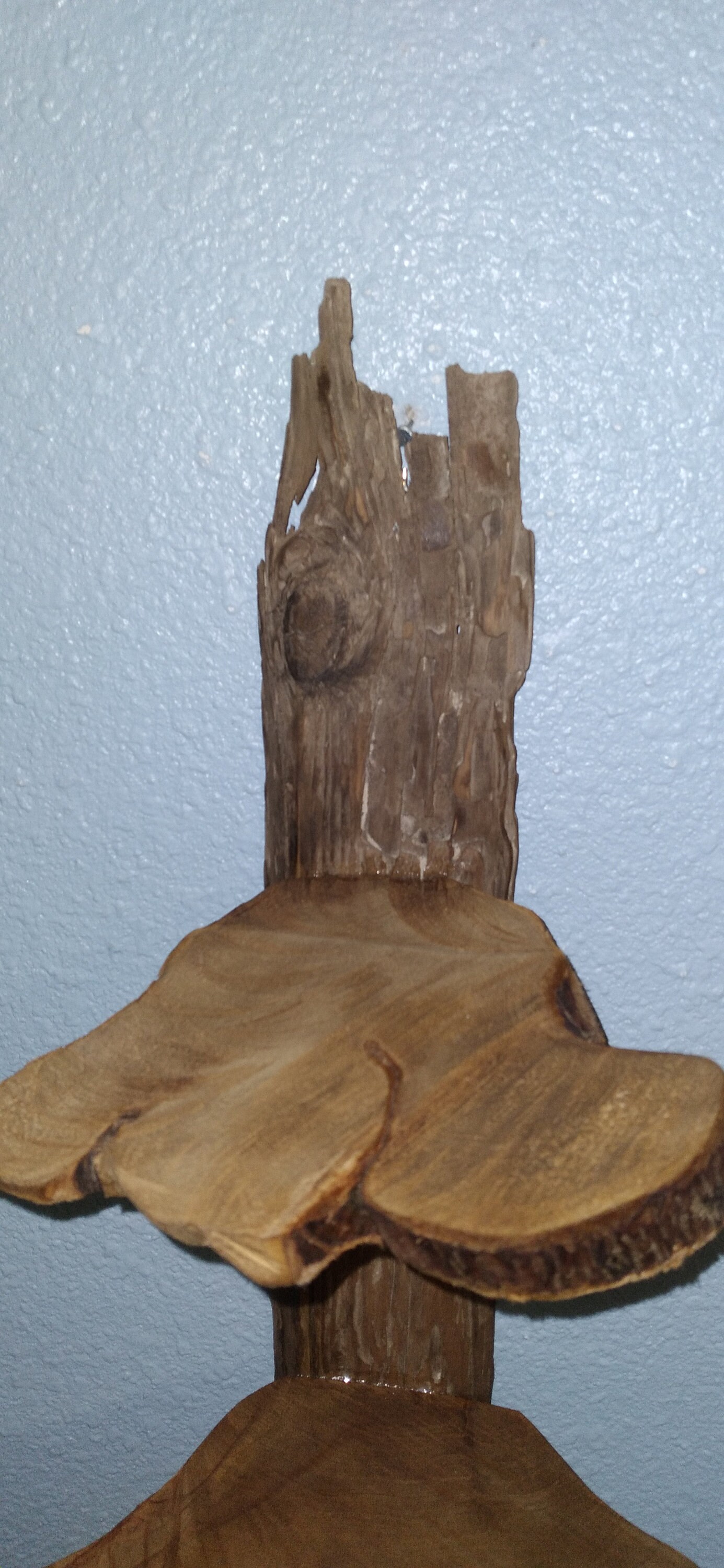 Unique Driftwood and Slab Wall Shelves. 3 Layers. Beautiful Home Decor ...