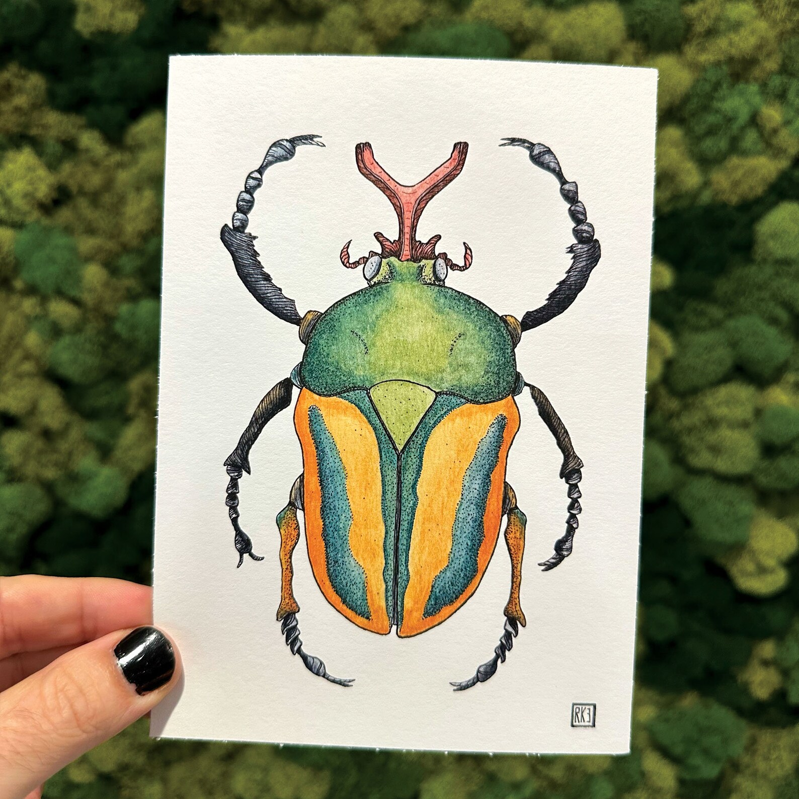Striped Love Beetle Art Print - Etsy