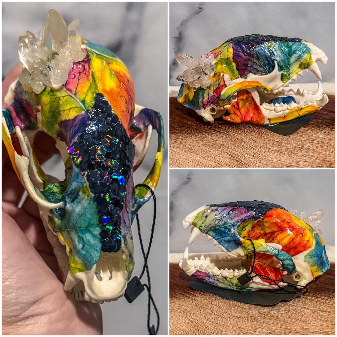 Floral Crystal Embellished Real RACCOON Skull - Etsy
