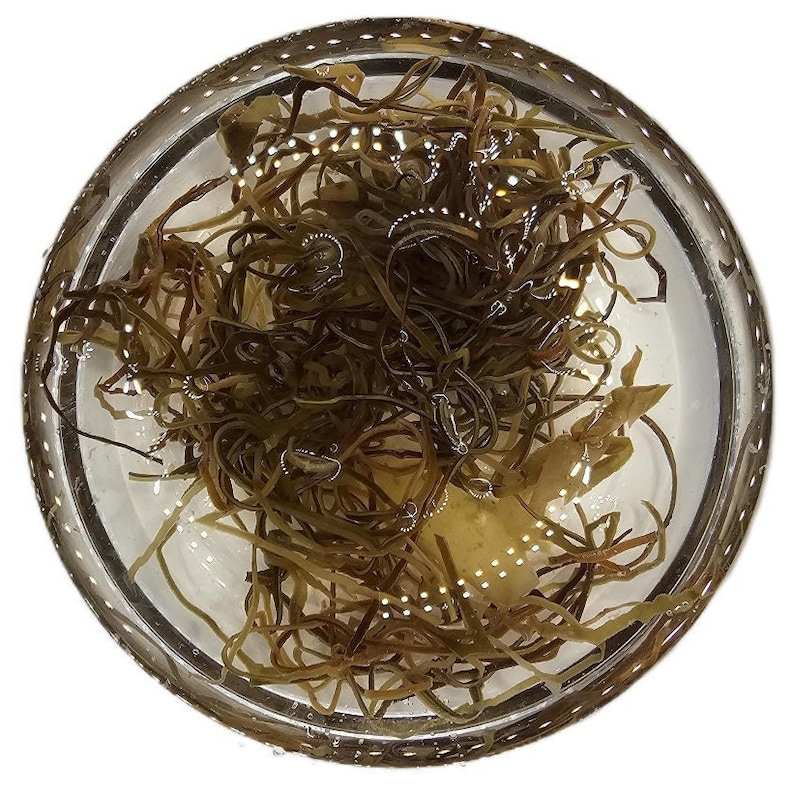 Organic Dried Seaweed Strips: Deep Sea Vegetable, 1 Oz - Etsy