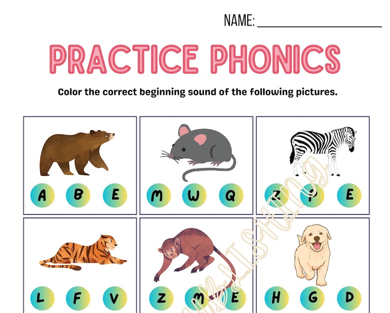 Phonics Practice Worksheet: Animals. Printable, Digital, Worksheet ...