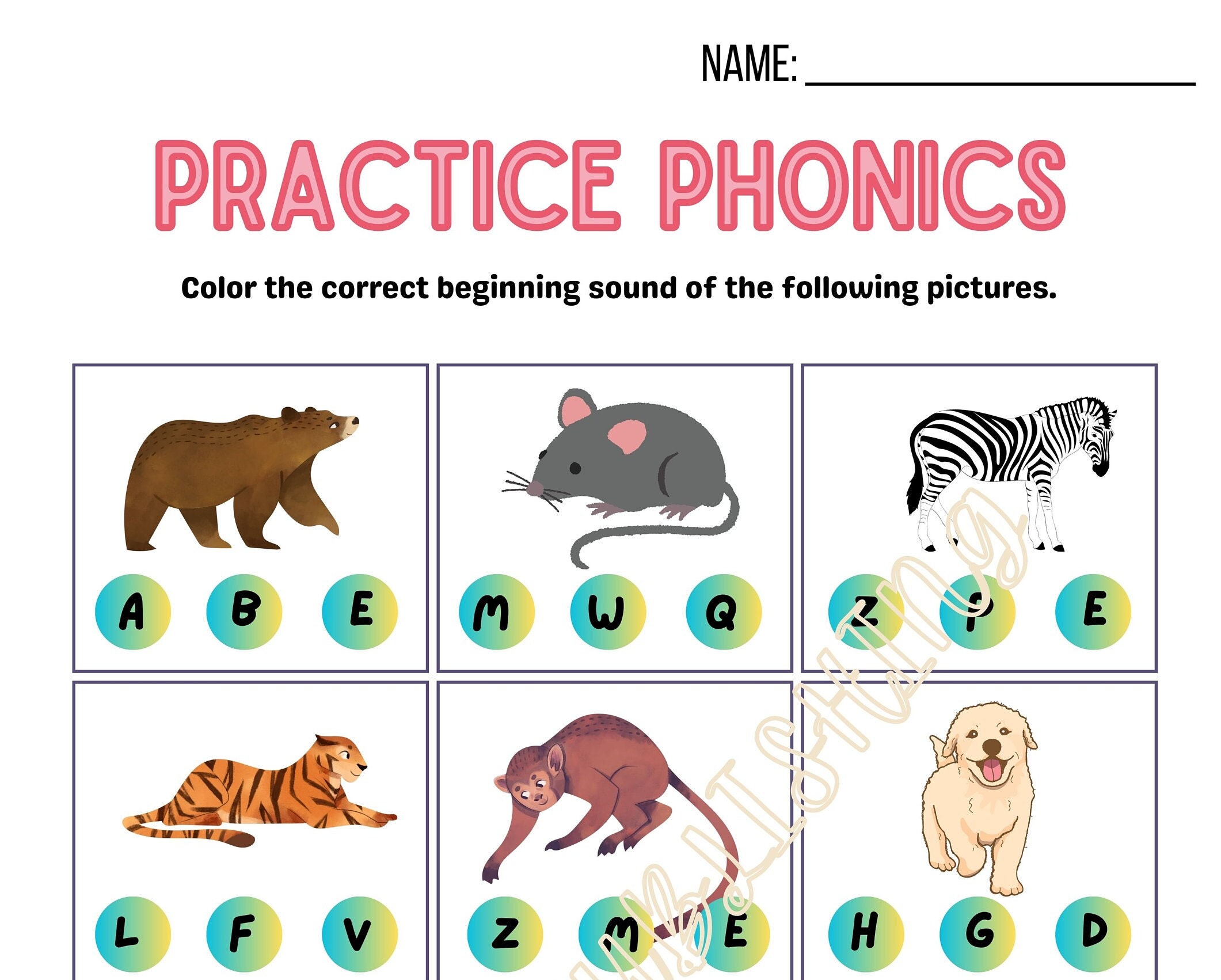 Phonics Practice Worksheet Animals. Printable, Digital, Worksheet ...
