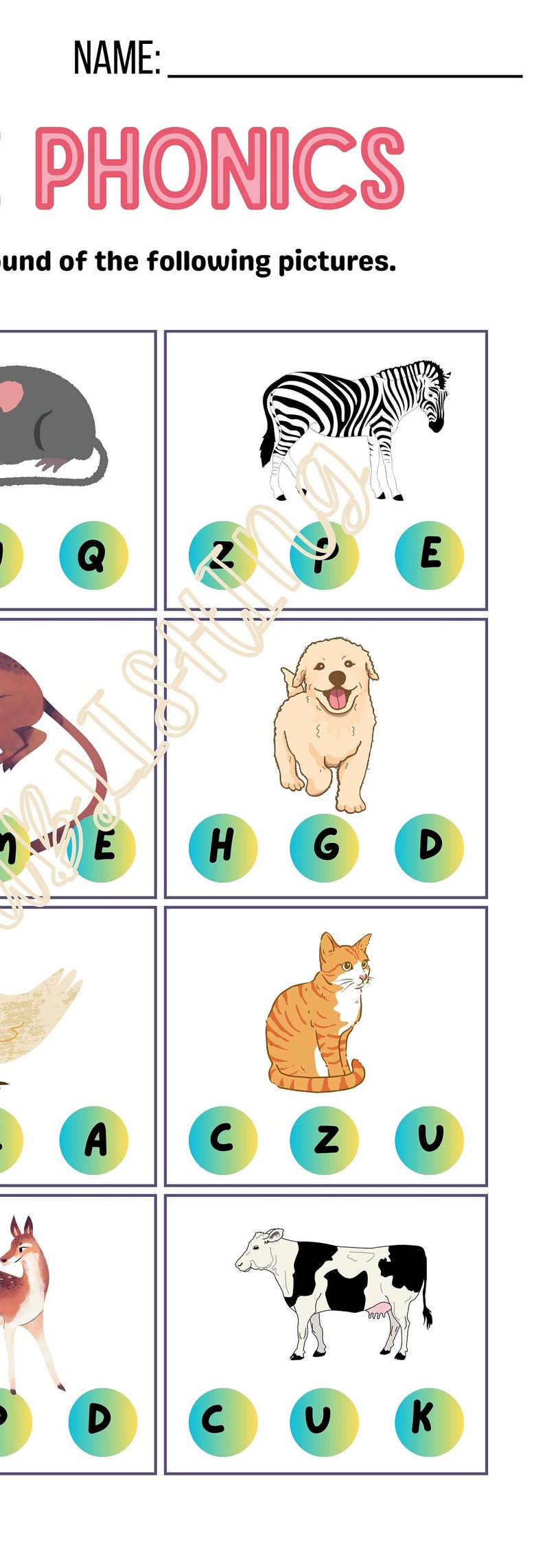Phonics Practice Worksheet: Animals. Printable, Digital, Worksheet ...