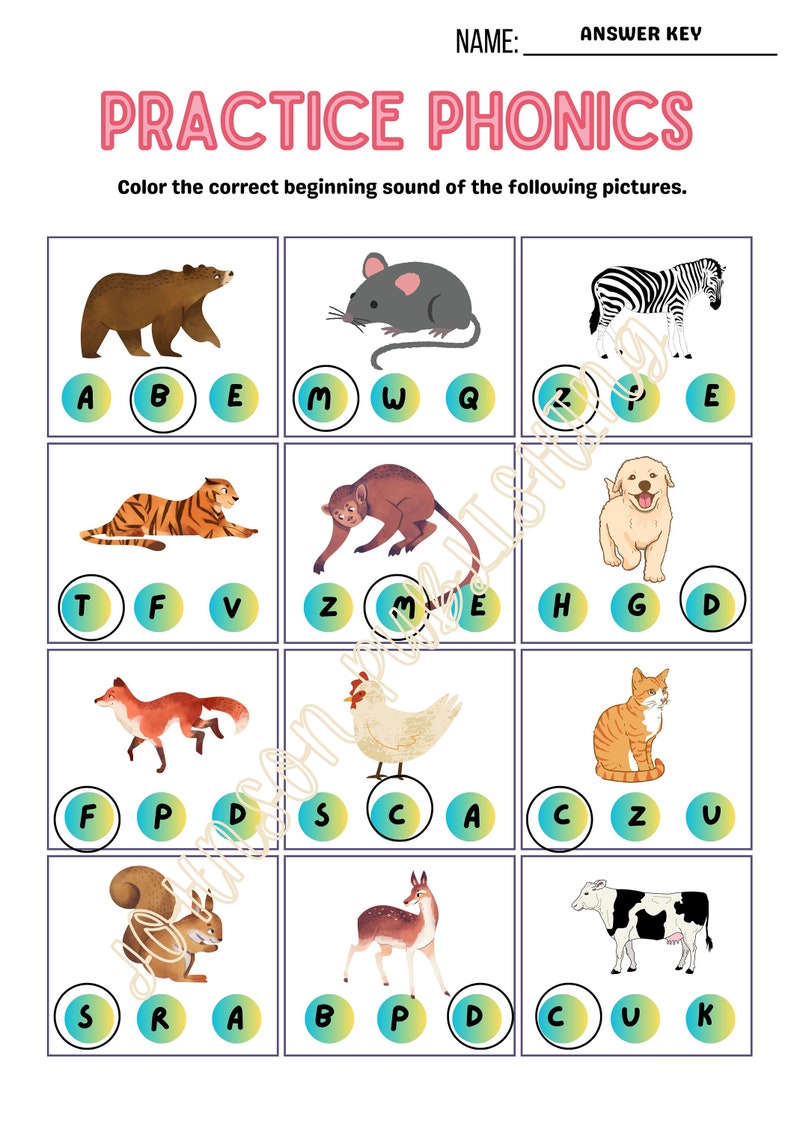Phonics Practice Worksheet: Animals. Printable Digital - Etsy