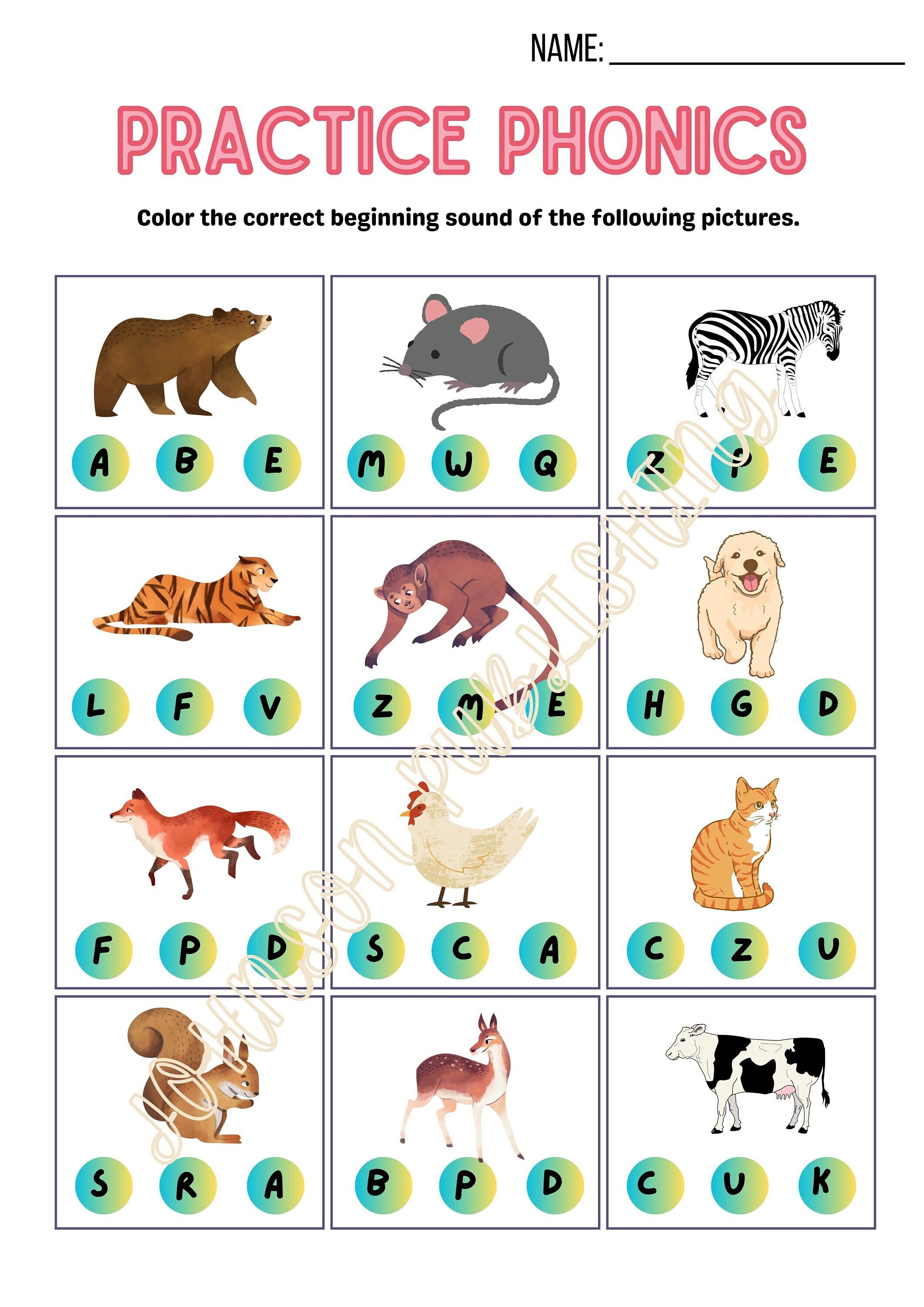Phonics Practice Worksheet: Animals. Printable, Digital, Worksheet ...