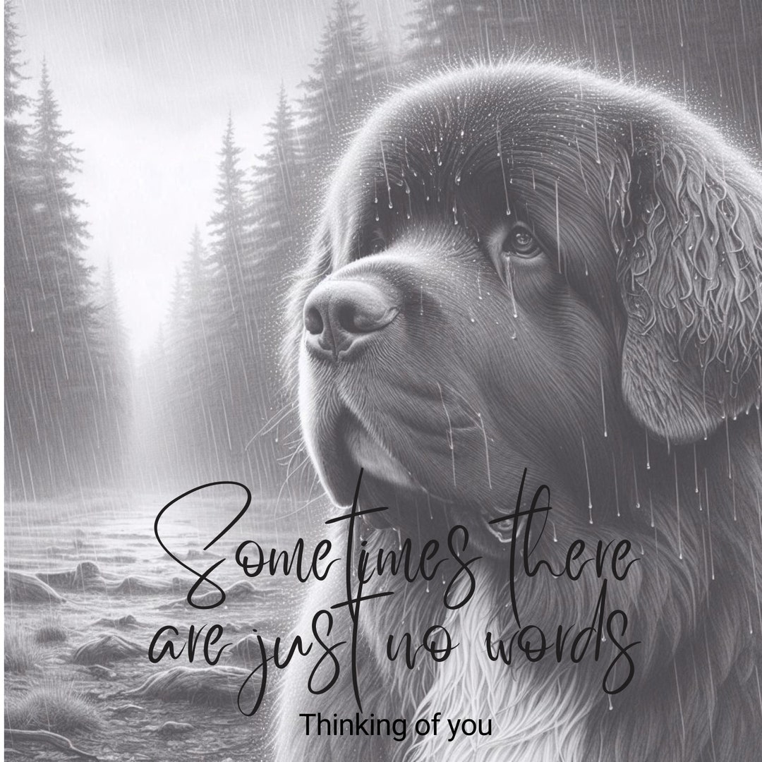 Condolence Sympathy Pencil Drawn Image Files Newfoundland Realistic - Etsy