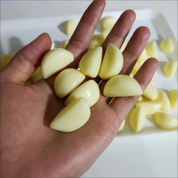 Faux Food for Display - Etsy