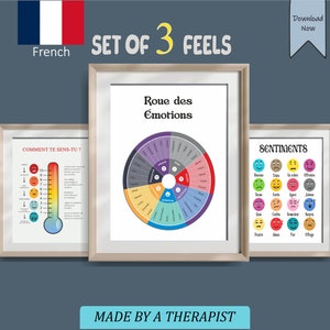 French Feelings Wheel Roue Des émotions Roue Des Sentiments - Etsy
